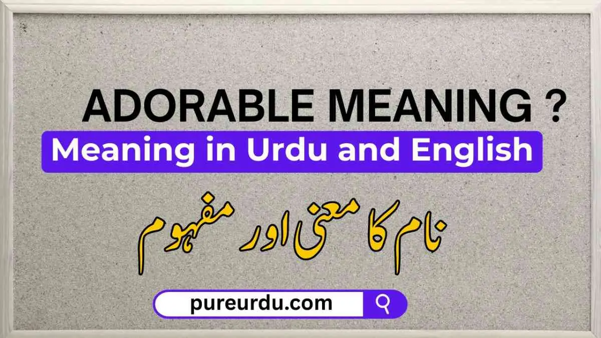 Adorable Meaning in Urdu - پیارا، دلکش